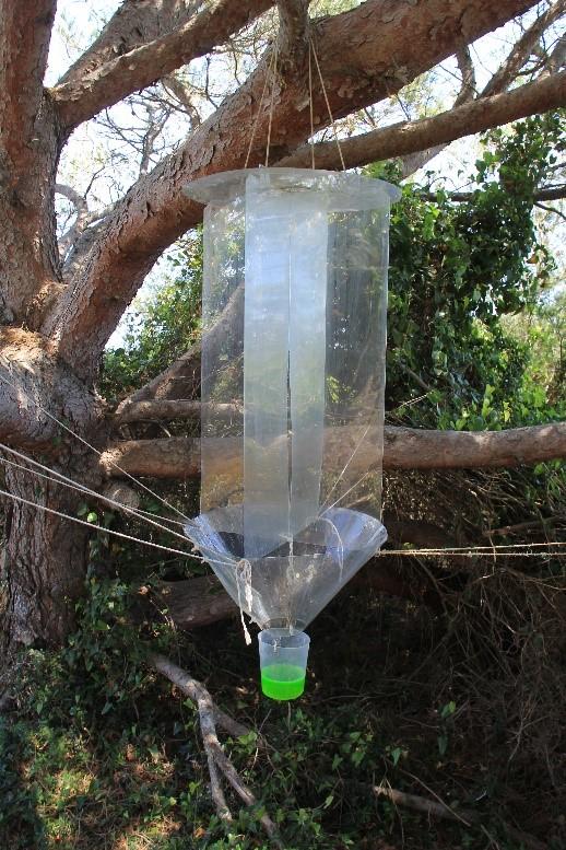 piege_polytrap_photo_michael_caceres.jpg | Parc national de Port-Cros ...